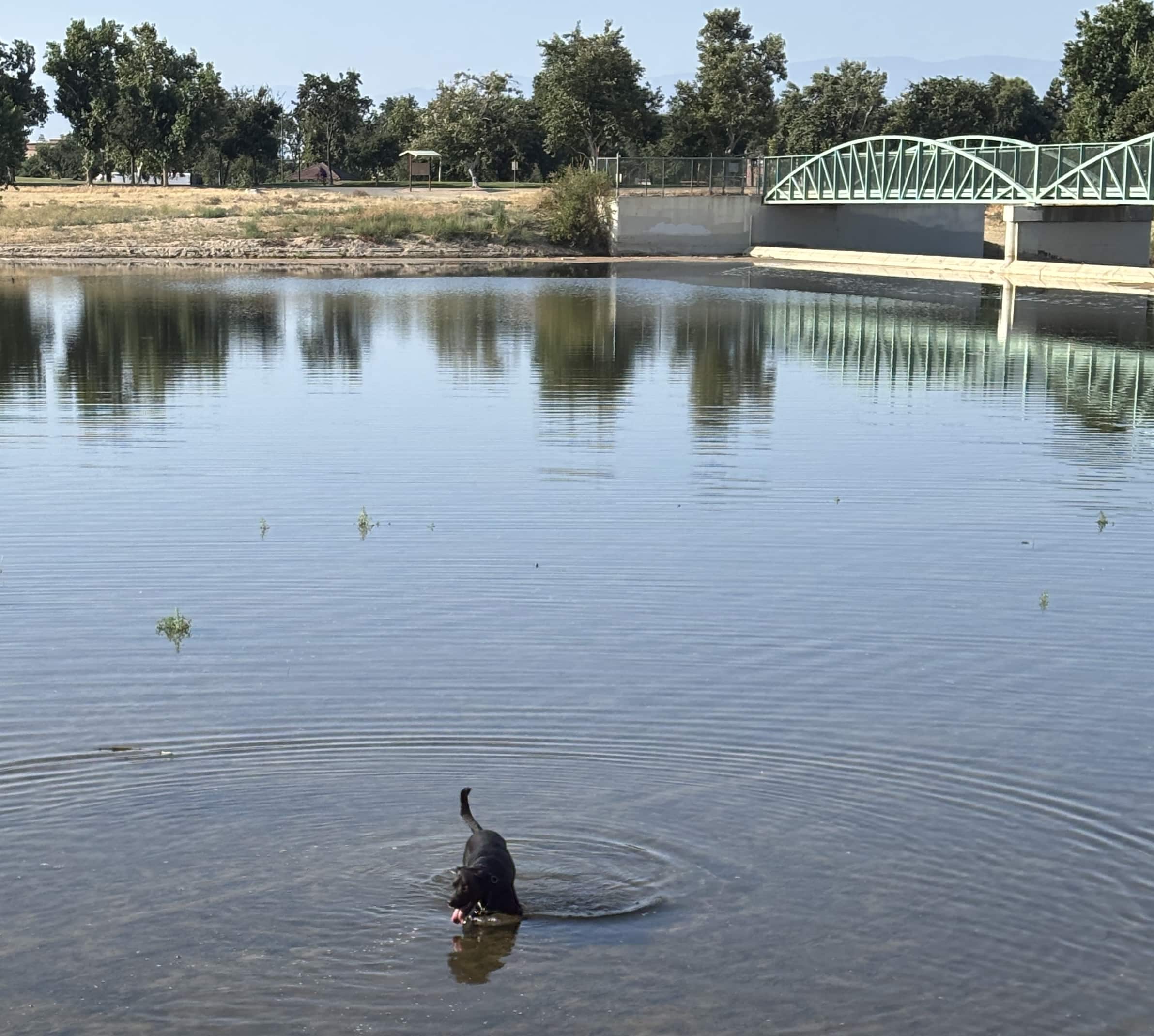 Powerful Kern water agency wants to boot judge off of Kern River case ...